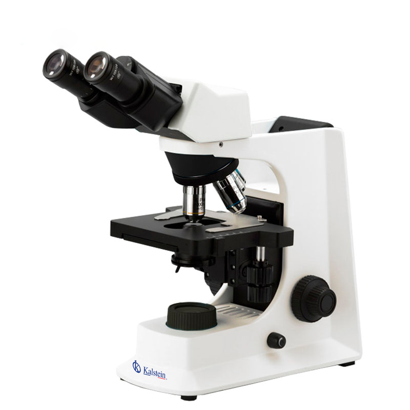 Laboratory microscopes: types, uses, and applications - Kalstein