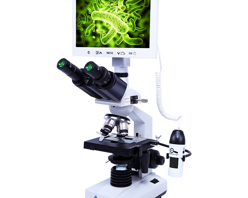 Microscopes - Kalstein