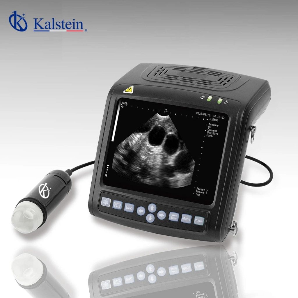 High-Resolution Ultrasound for Equine Diagnostics - Kalstein